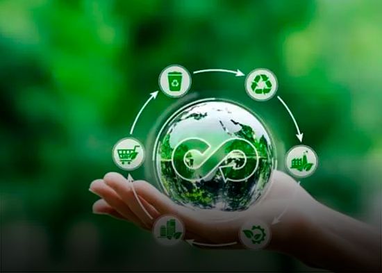 ¿Cómo adoptar la economía circular en tu vida diaria? tres pasos clave ...